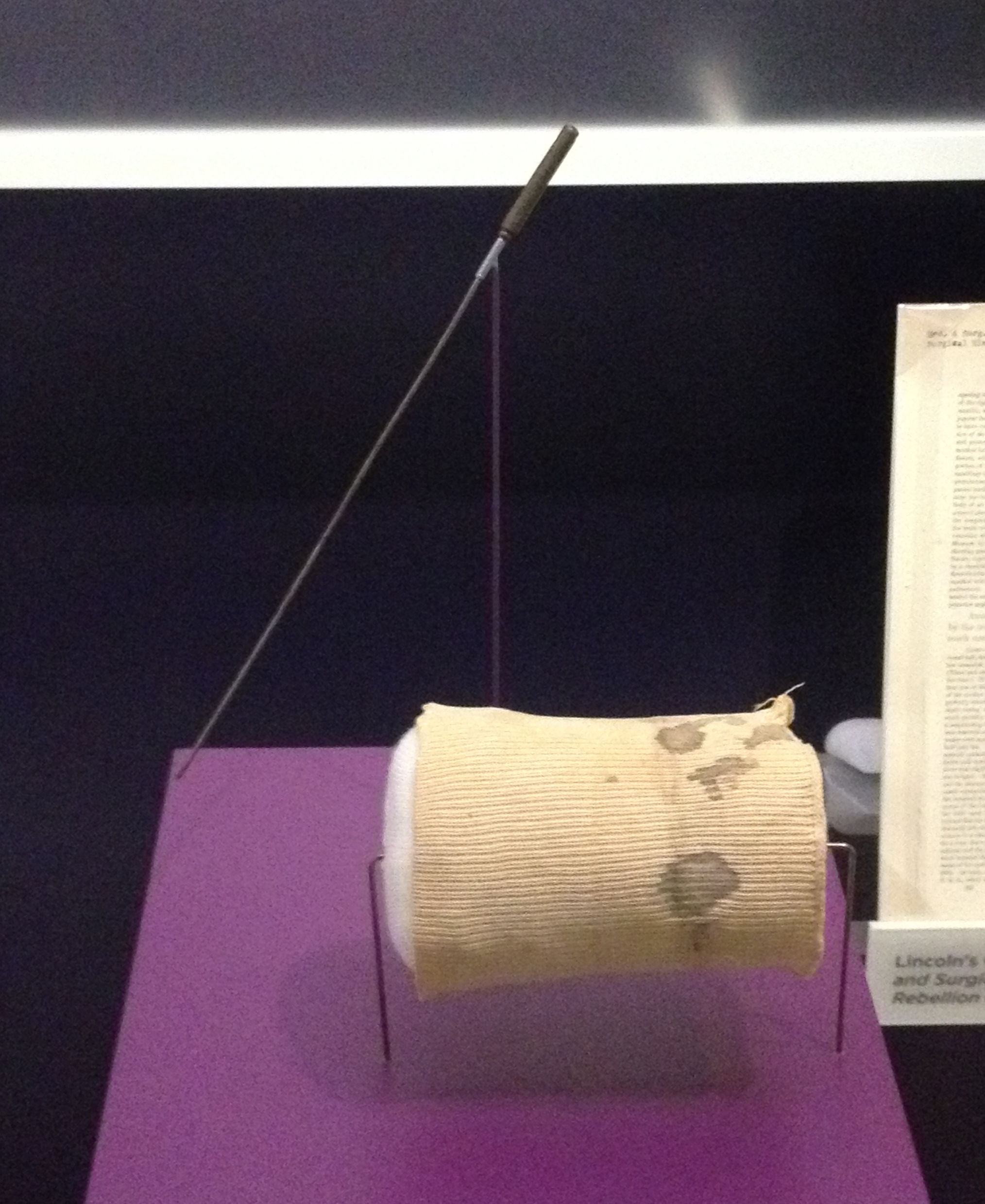 The National Museum of Health and Medicine and the Lincoln ...