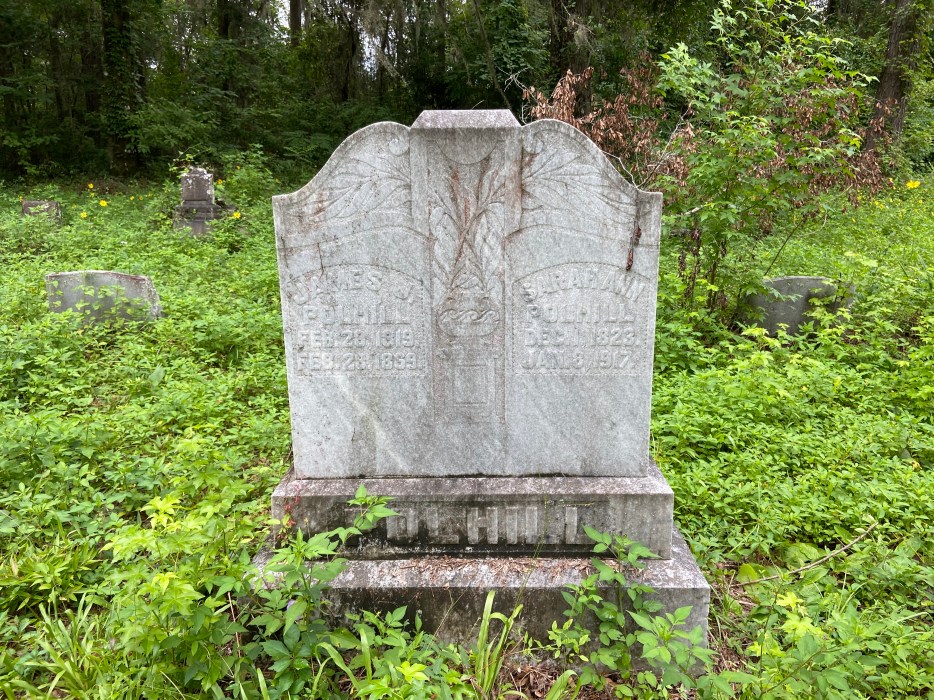 Lewis Powell’s Life in Alabama, Georgia, and Florida ...